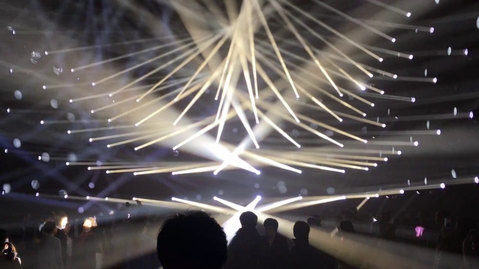 Teamlab Jungle: Step Inside a Massive Musical Instrument Made of Light ...
