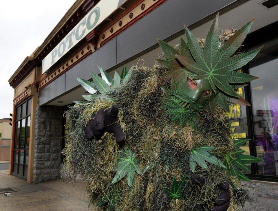 You Gotta Be Leaf: 12 Smokin’ Hot Marijuana Mascots | Urbanist