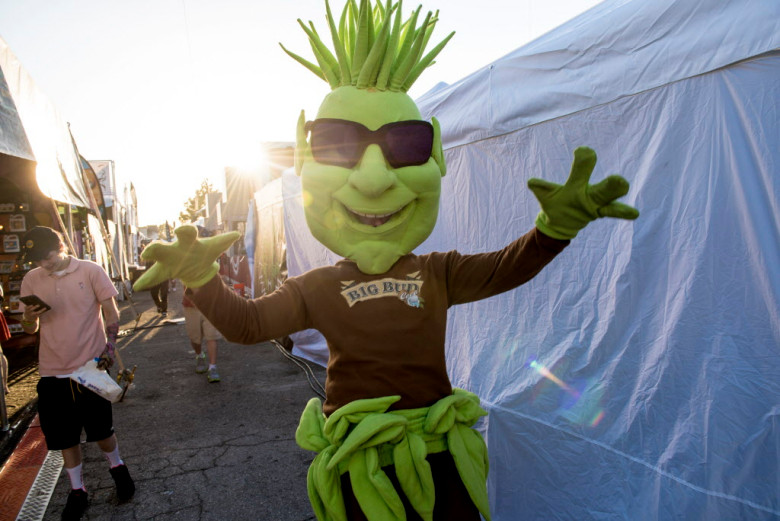 You Gotta Be Leaf: 12 Smokin’ Hot Marijuana Mascots | Urbanist