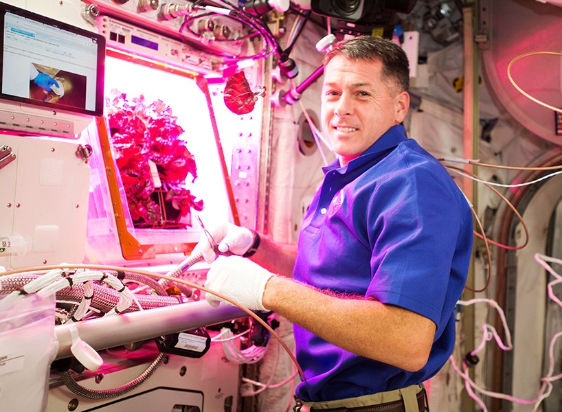 Flat-Pack Life Support: NASA’s Inflatable Hydroponic Space Greenhouse ...