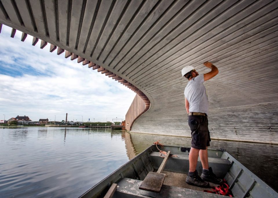 Architecture for Animals: 13 Structures Designed with Non-Human Use in ...