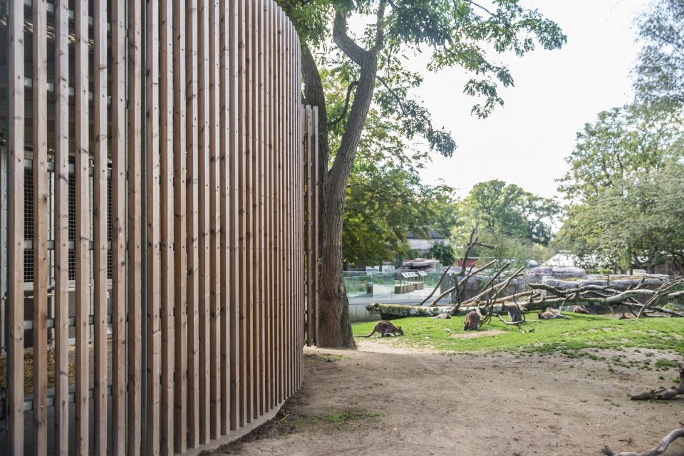 Architecture for Animals: 13 Structures Designed with Non-Human Use in ...