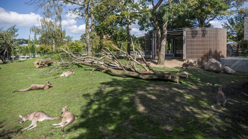 Architecture for Animals: 13 Structures Designed with Non-Human Use in ...