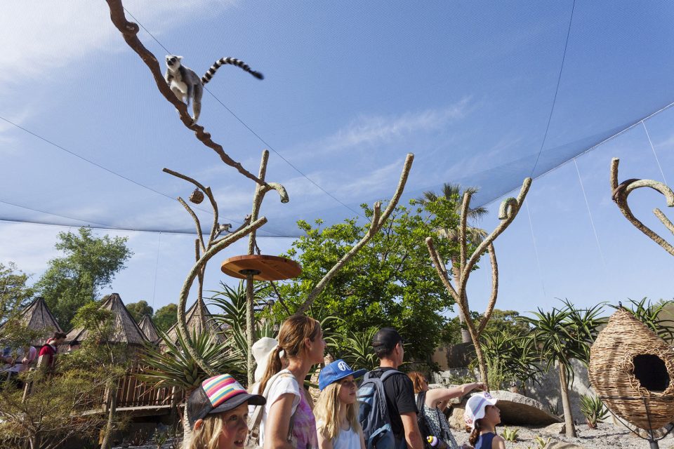 Architecture for Animals: 13 Structures Designed with Non-Human Use in ...