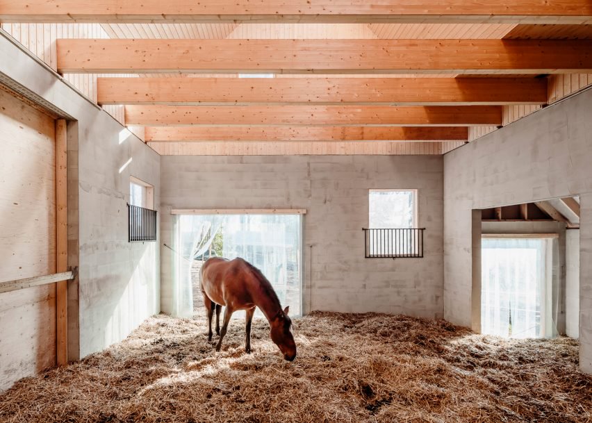 Architecture for Animals: 13 Structures Designed with Non-Human Use in ...