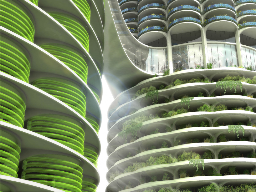 It’s Alive! 14 Algae-Powered Inventions for Food, Light, Energy ...