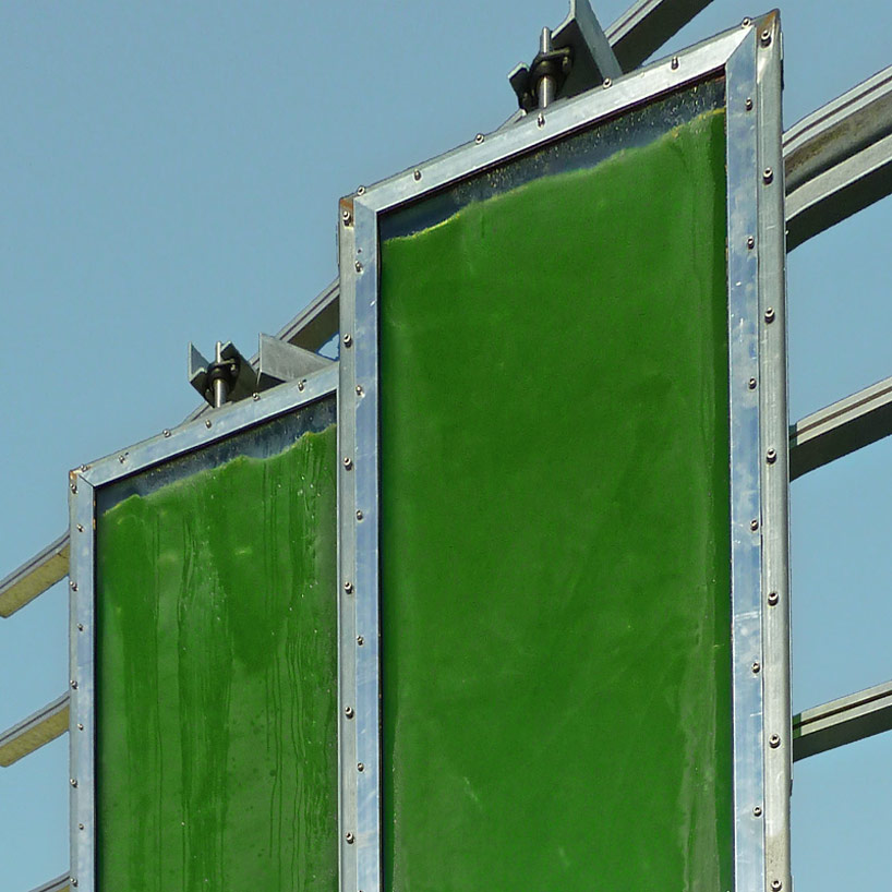 It’s Alive! 14 Algae-Powered Inventions for Food, Light, Energy ...