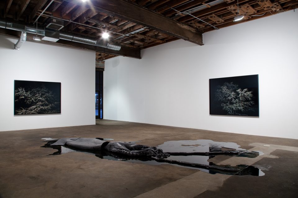 Immerse Yourself in Horror: 10 Art Installations That’ll Make Your Skin ...