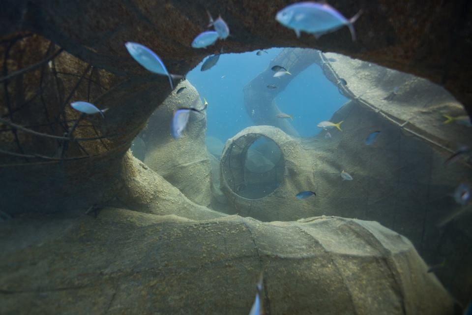 Steel Mesh Kraken Sunk Off British Virgin Islands to Create Artificial ...