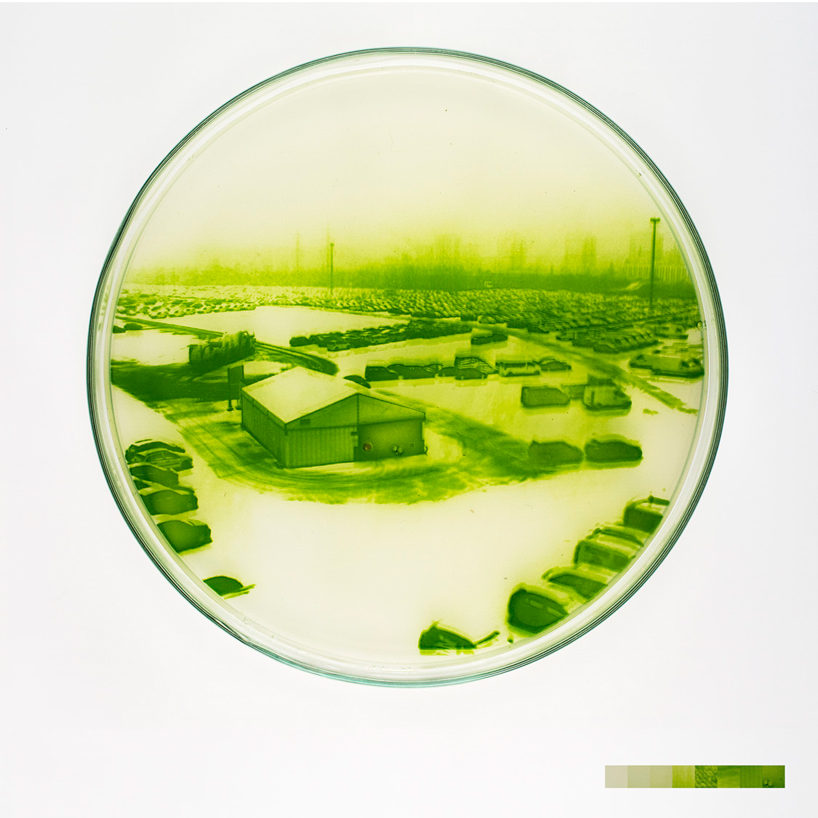 It’s Alive! 14 Algae-Powered Inventions for Food, Light, Energy ...