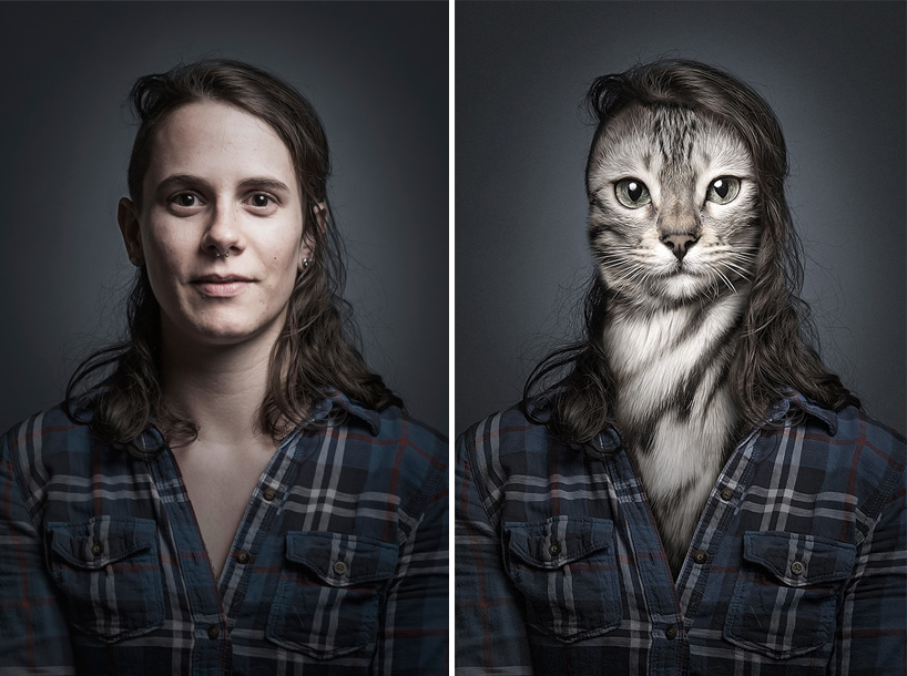Cats! Cats! Cats! 20+ Fun Feline-Focused Works of Art & Design | Urbanist