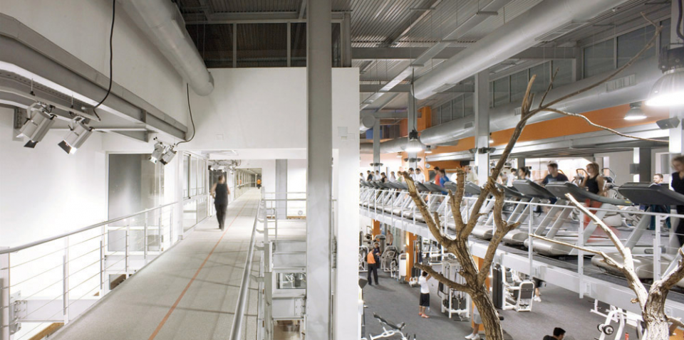 Architects Broke a Sweat Designing These 13 Striking Gyms & Fitness ...