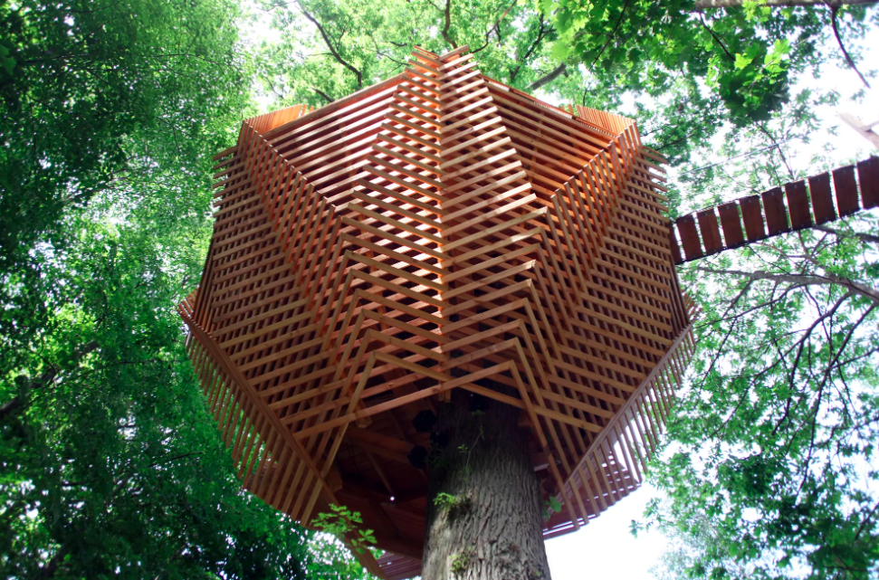 ORIGIN Tree House: Modern Wooden Hotel Room in a French Forest Canopy ...
