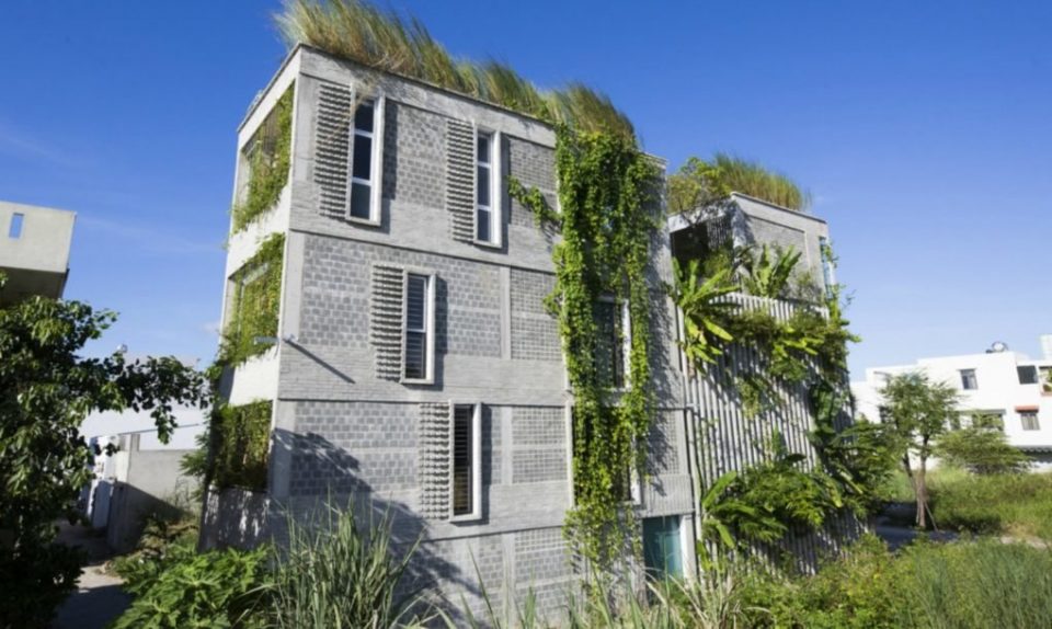 Uplifting Design: Site’s Native Greenery Transplanted onto New ...