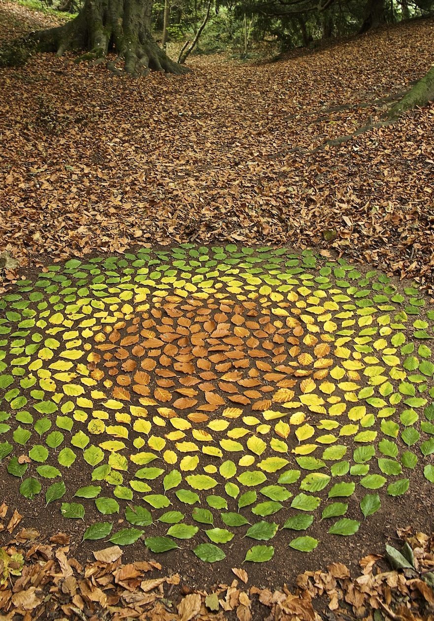 Sticks & Stones: Land Artist Shapes Natural Objects into Organic ...