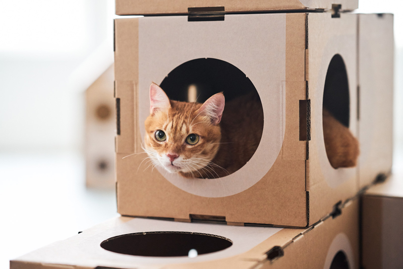 Flat-Pack Cat Cities: Modular Feline Architecture Inspired by Origami ...