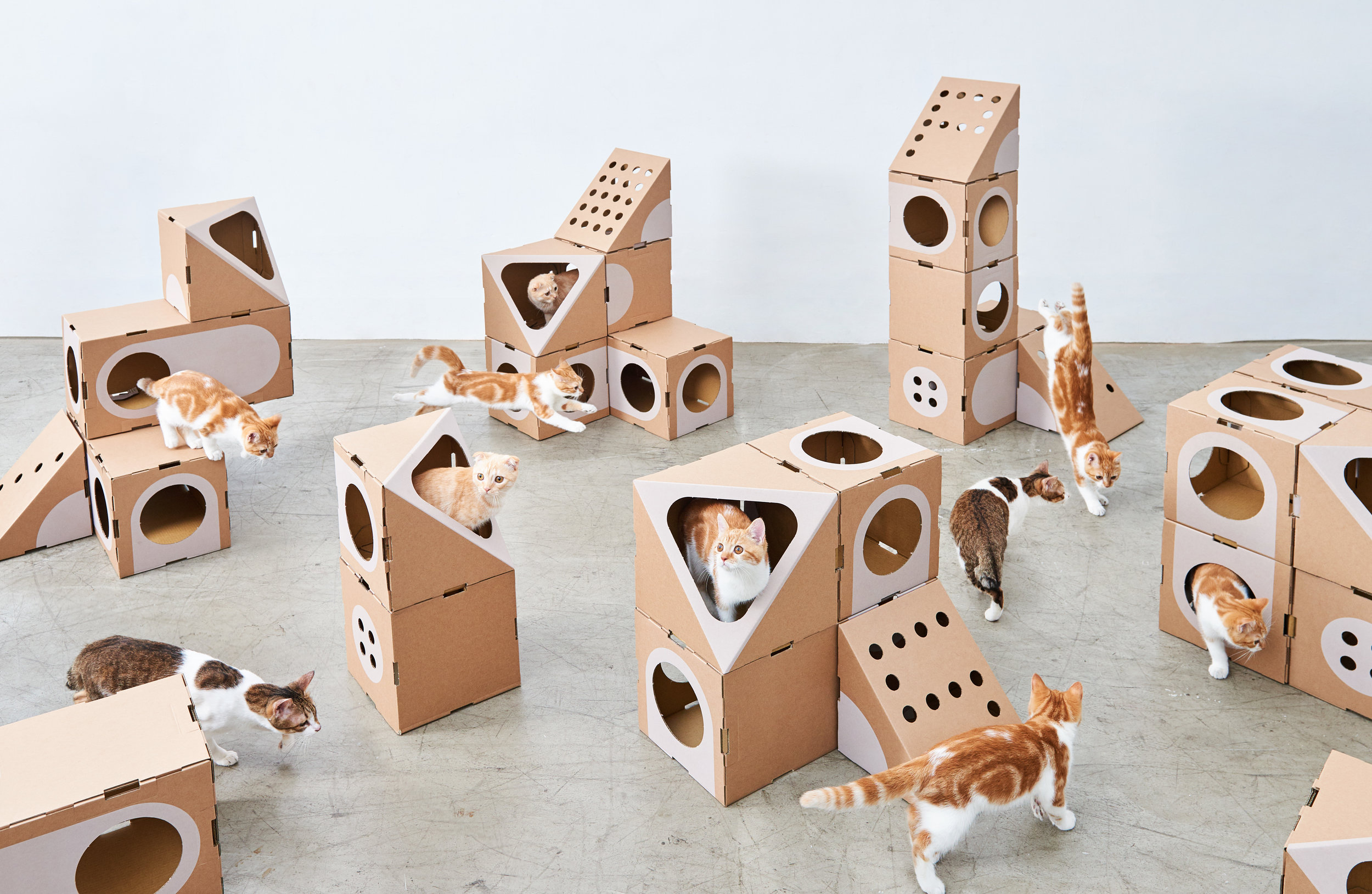Flat-Pack Cat Cities: Modular Feline Architecture Inspired by Origami ...