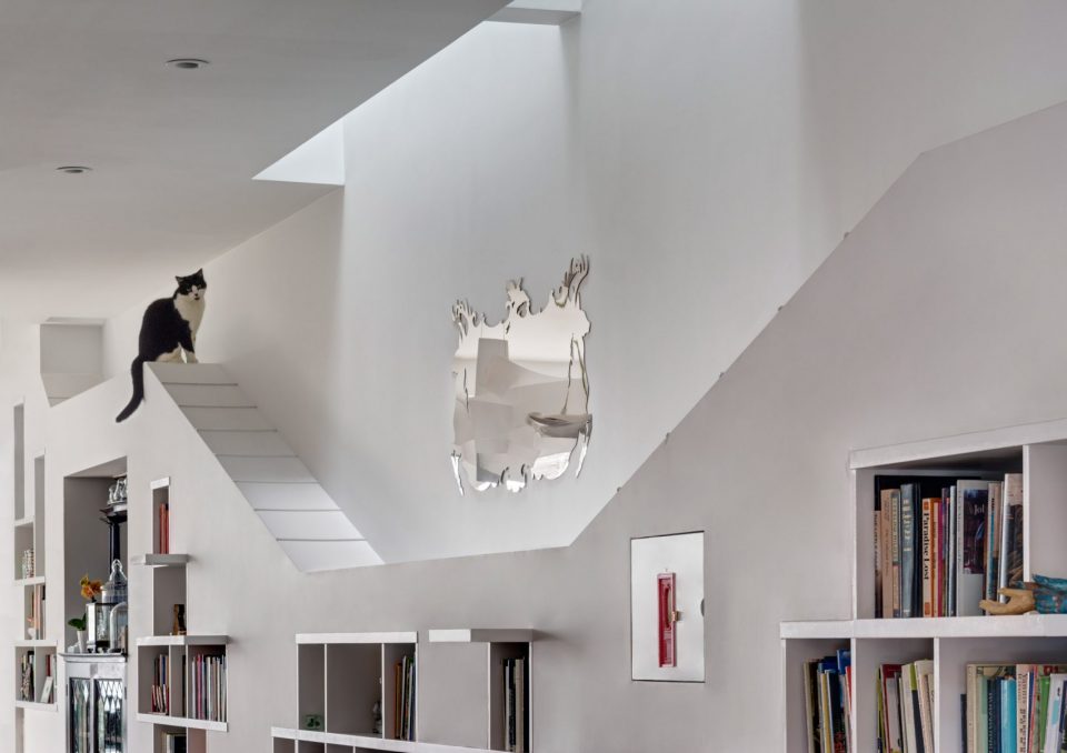 High Feline Design: 10 Modern Homes with Built-In Cat Friendly Features ...