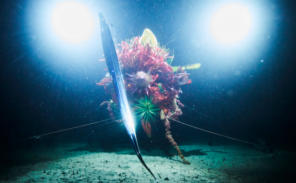 Art That Breathes: 17 Living Creations Made with Plants, Bacteria ...