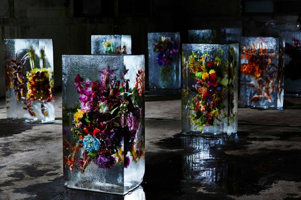 Art That Breathes: 17 Living Creations Made with Plants, Bacteria ...