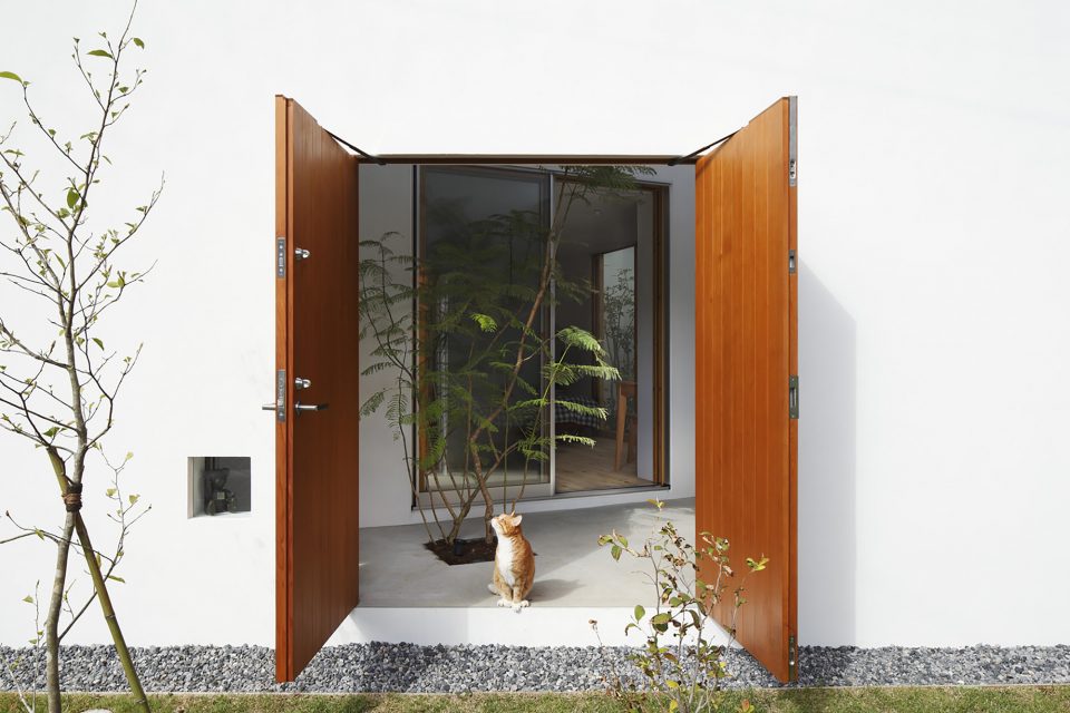 High Feline Design: 10 Modern Homes with Built-In Cat Friendly Features ...