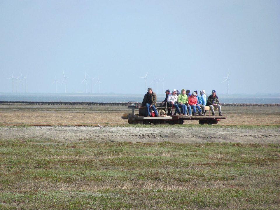 Tiny Trains: Neat Narrow-Gauge Rail Connects German Island to Mainland ...