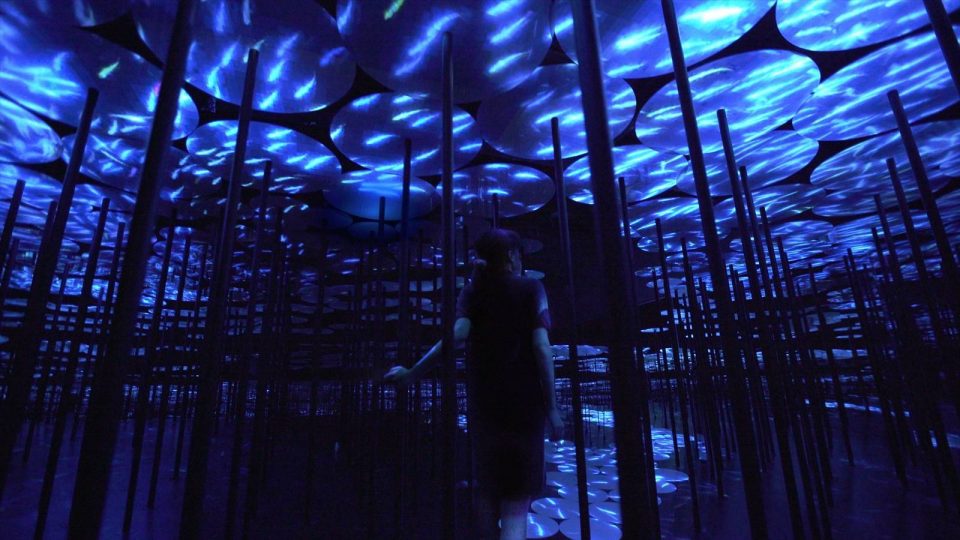 Immerse Yourself in Interactive Digital Environments at Japan’s Mori ...