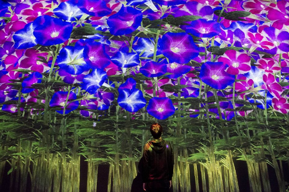 Immerse Yourself in Interactive Digital Environments at Japan’s Mori ...