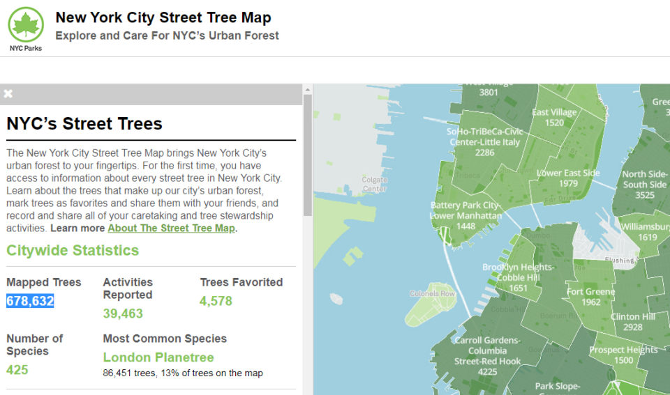 Urban Forestry: Explore 678,632 Street Trees of NYC with Interactive ...