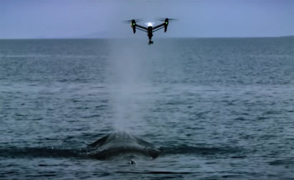 From Saving Lives to Raining Candy: Drones Do a Lot of Good, Too ...