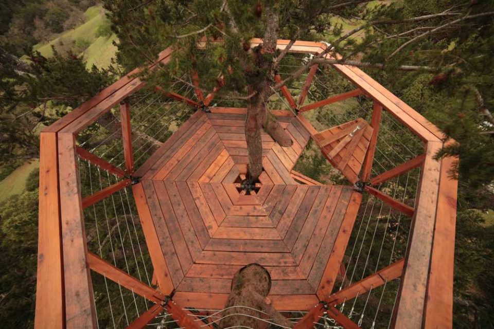 Pinecone Treehouse: Naturally Shaped Wonder in the California Redwoods ...