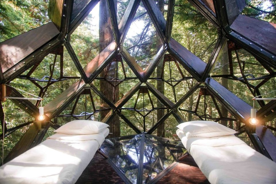Pinecone Treehouse: Naturally Shaped Wonder in the California Redwoods ...