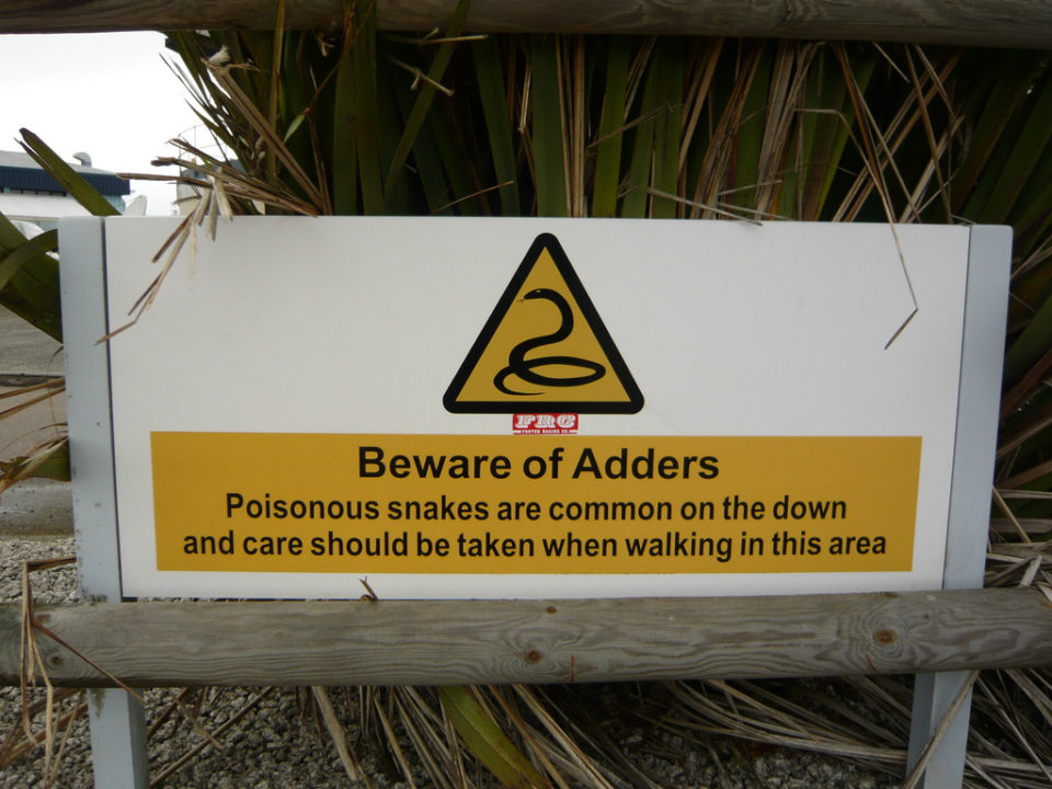 Beware-y Afraid: 10 Weird & Unexpected Warning Signs | Urbanist