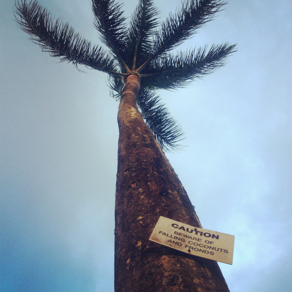 Beware-y Afraid: 10 Weird & Unexpected Warning Signs - WebUrbanist