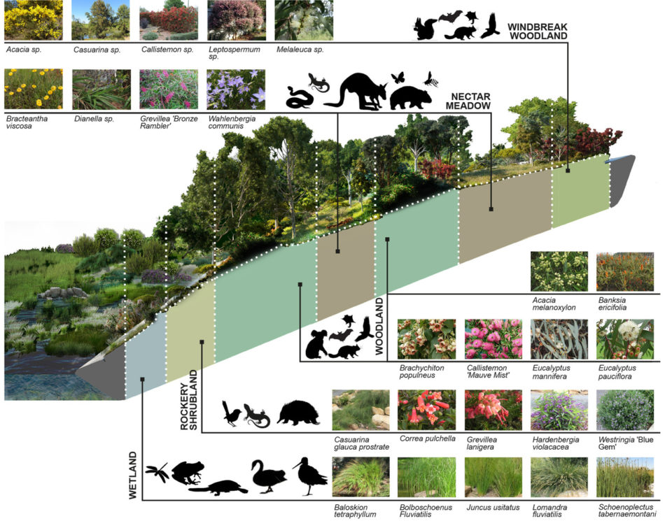 Ribbons of Life: Biodiverse Bridge Doubles as a Wildlife Crossing ...